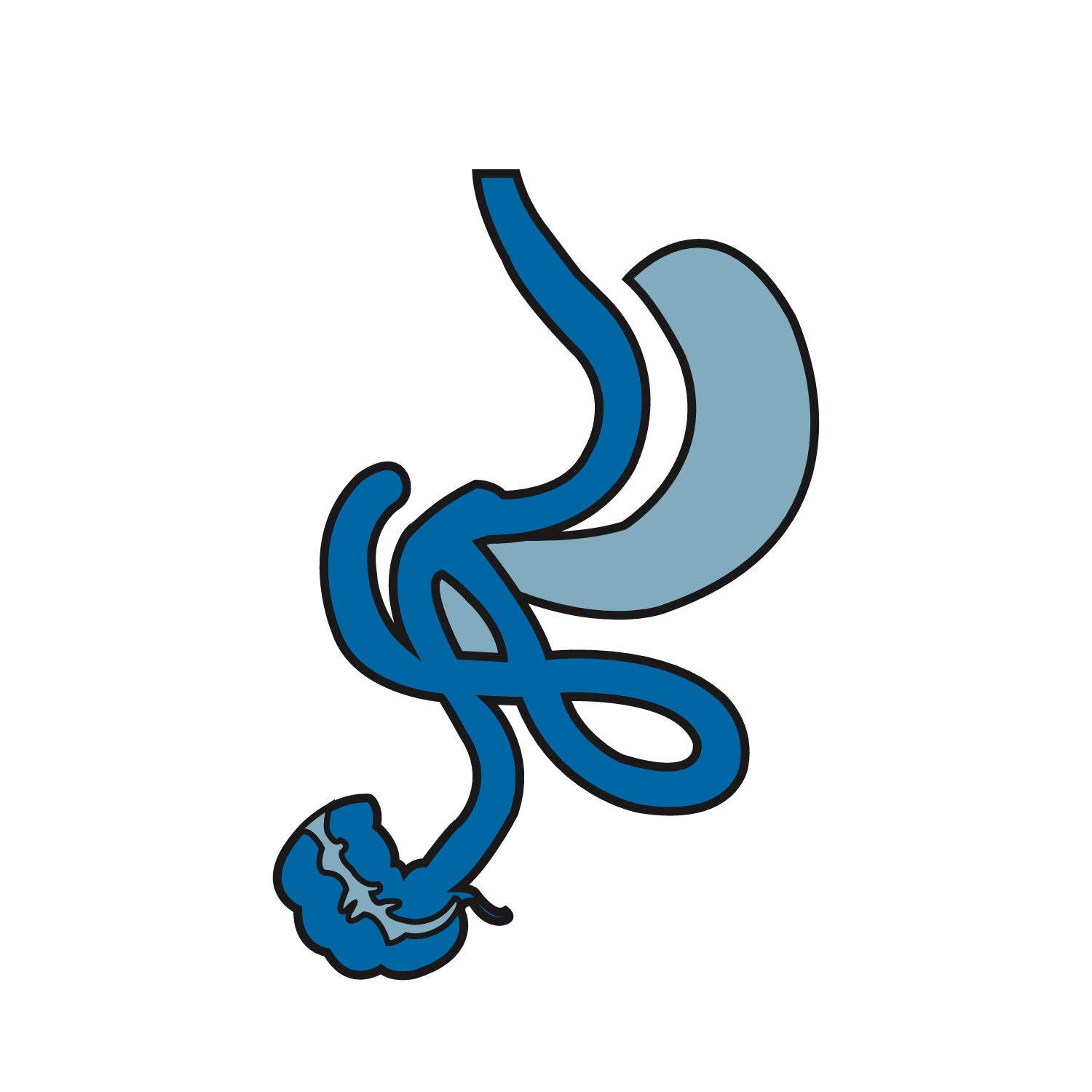 Best Bariatric Surgery Centre